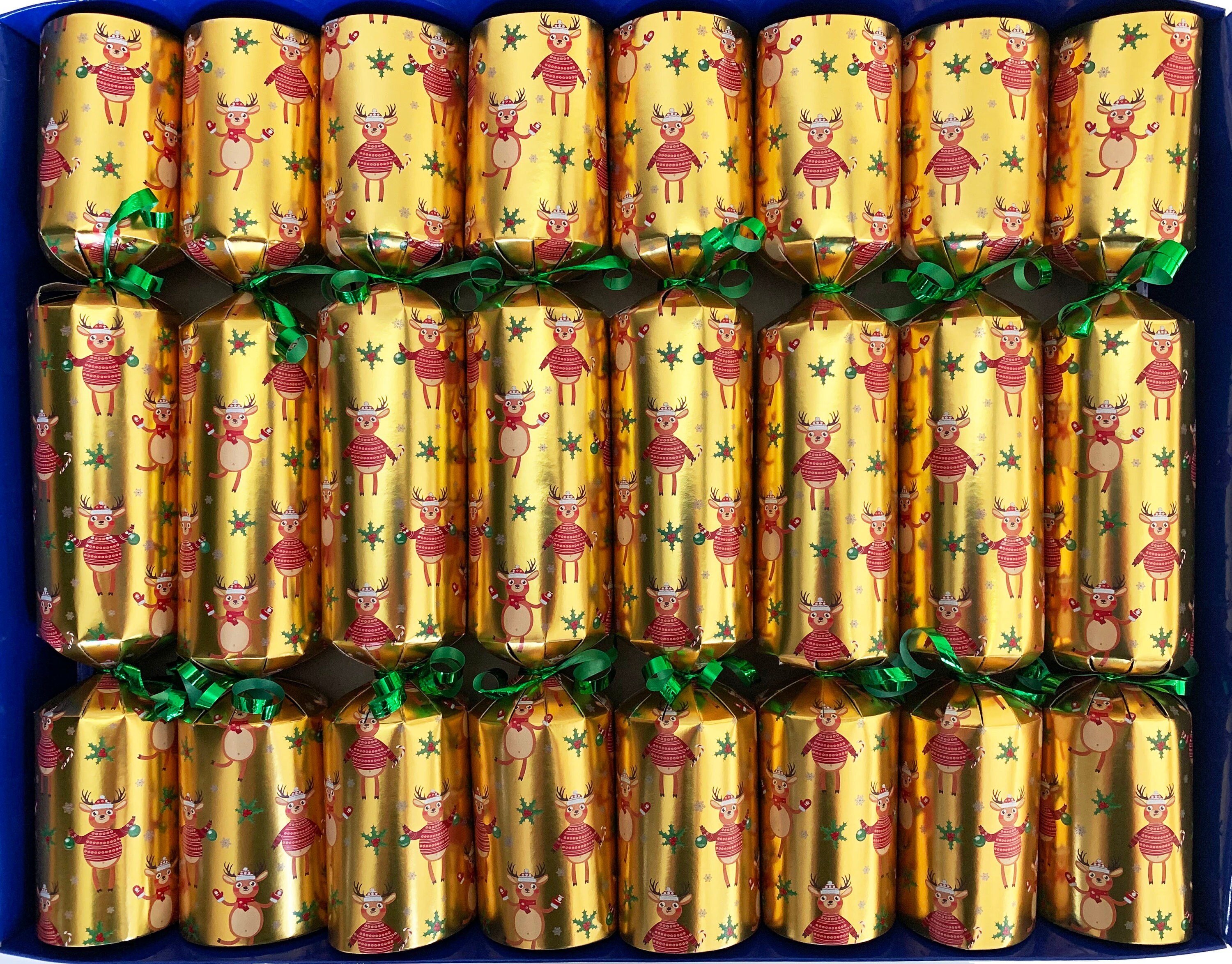 Set of 8 family fun Christmas Crackers with magic tricks- assorted designs