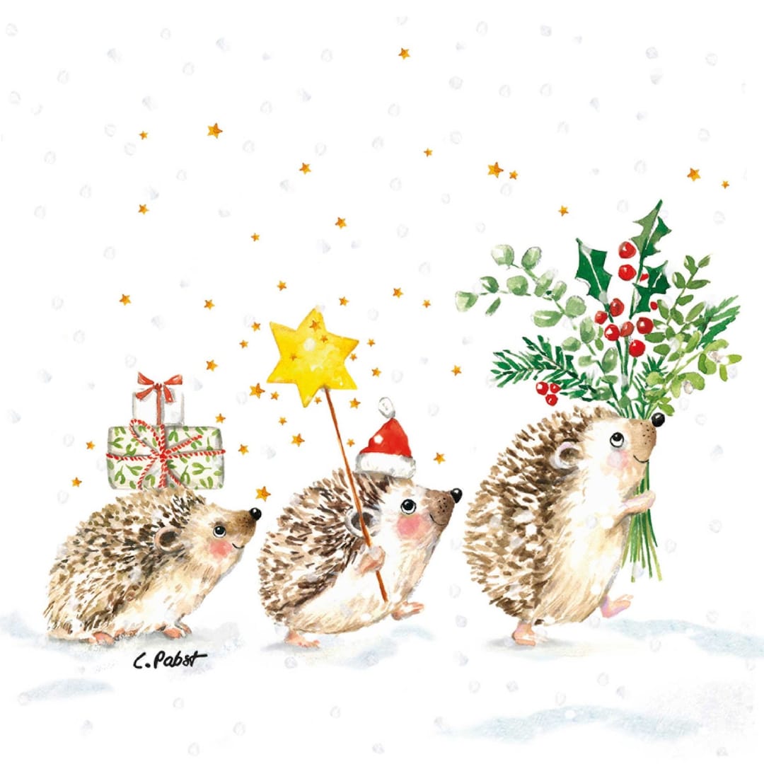 Christmas Hedgehogs Design Christmas Napkin Pack. 20 in a Pack - Etsy
