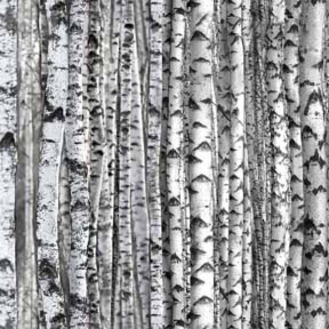 Birch Wood Trees Grey Quilt Cotton Fabric From Landscape Medley by ...