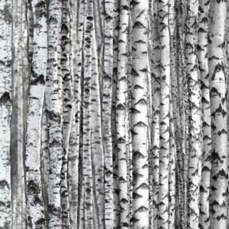 Birch Tree Fabric - Etsy