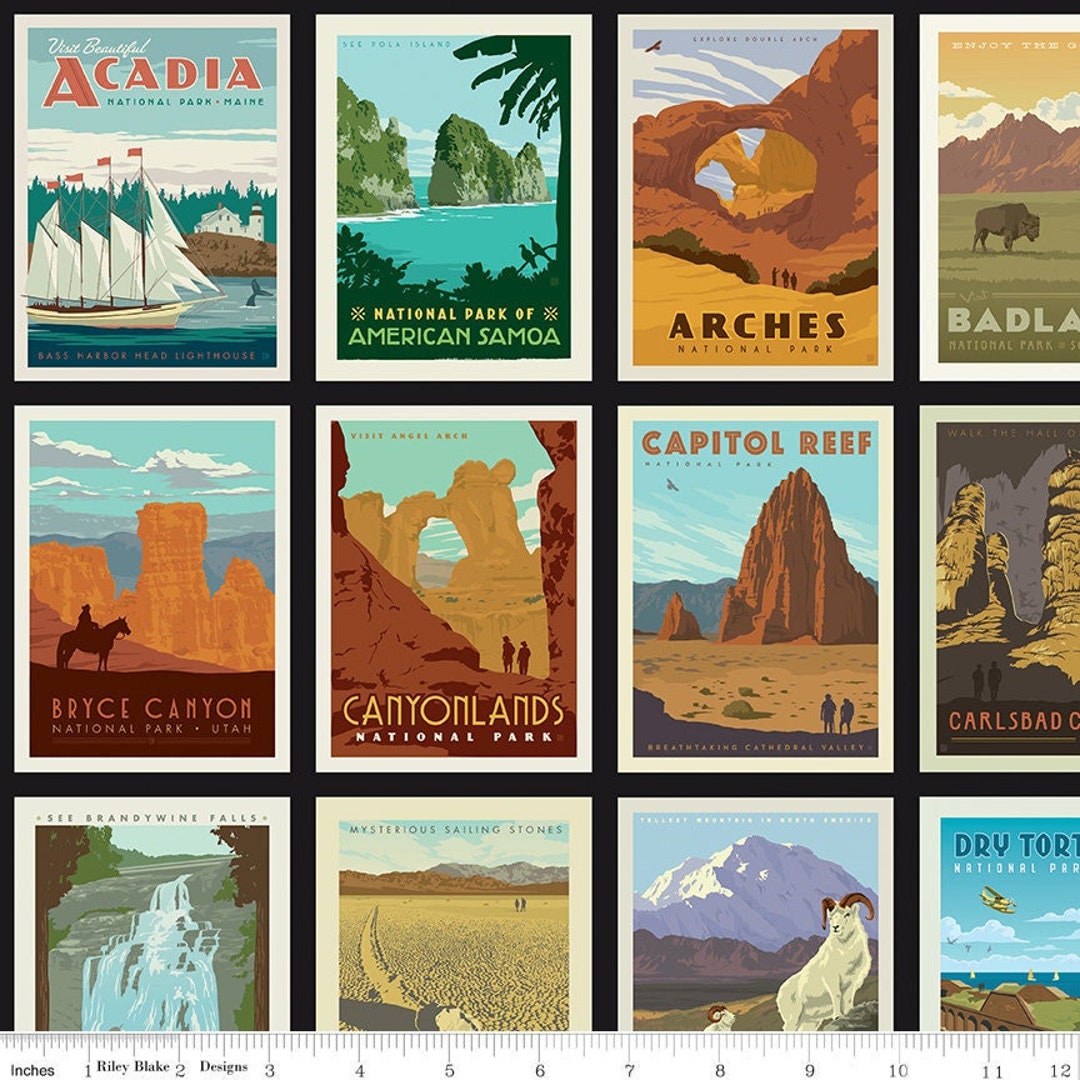 National Parks Mini Posters Cotton Fabric - Riley Blake #C8780-BLACK ...