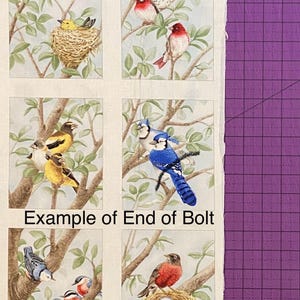 24" X 44" Bird Blocks Cotton Fabric Panel - Beautiful Birds by ...
