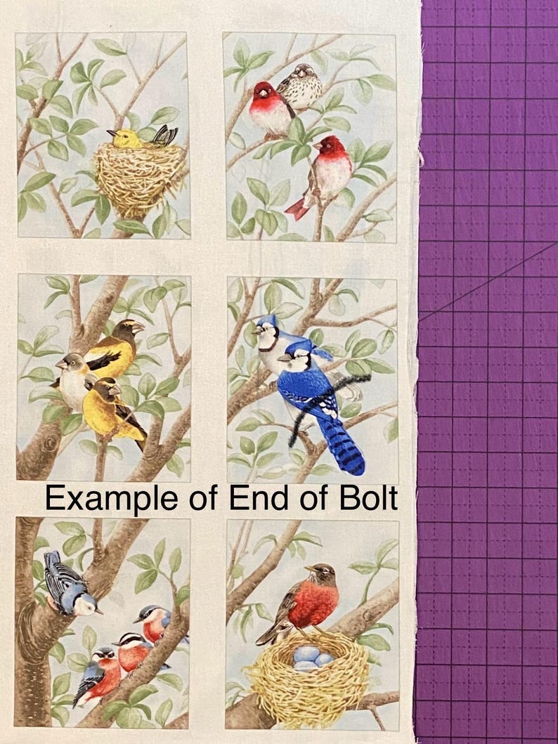 24" X 44" Bird Blocks Cotton Fabric Panel - Beautiful Birds by ...