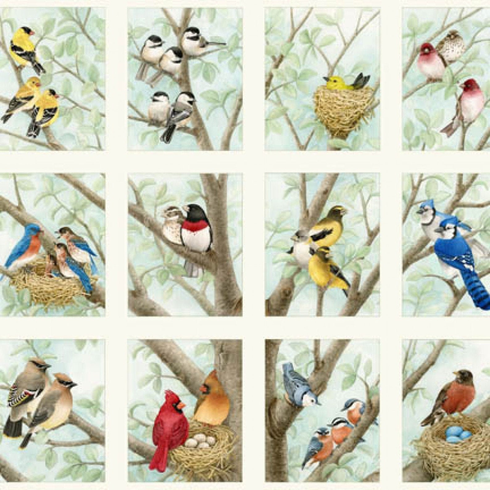 24" X 44" Bird Blocks Cotton Fabric Panel - Beautiful Birds by ...
