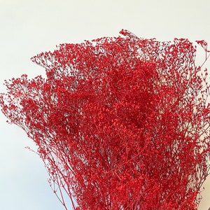 Preserved Mini Gyp Filler Flowers, Home Decor, Wedding Bouquet - Etsy