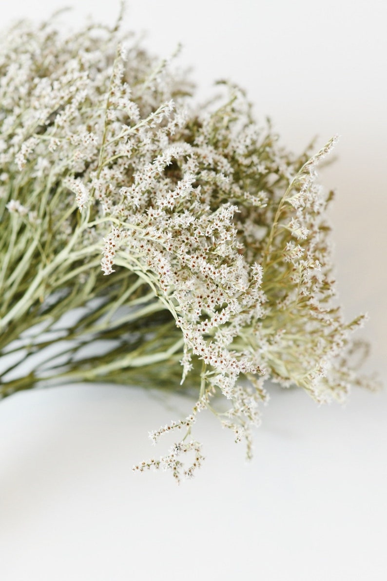 German Statice Dry Flowers White Green Wedding Bouquet - Etsy Sweden