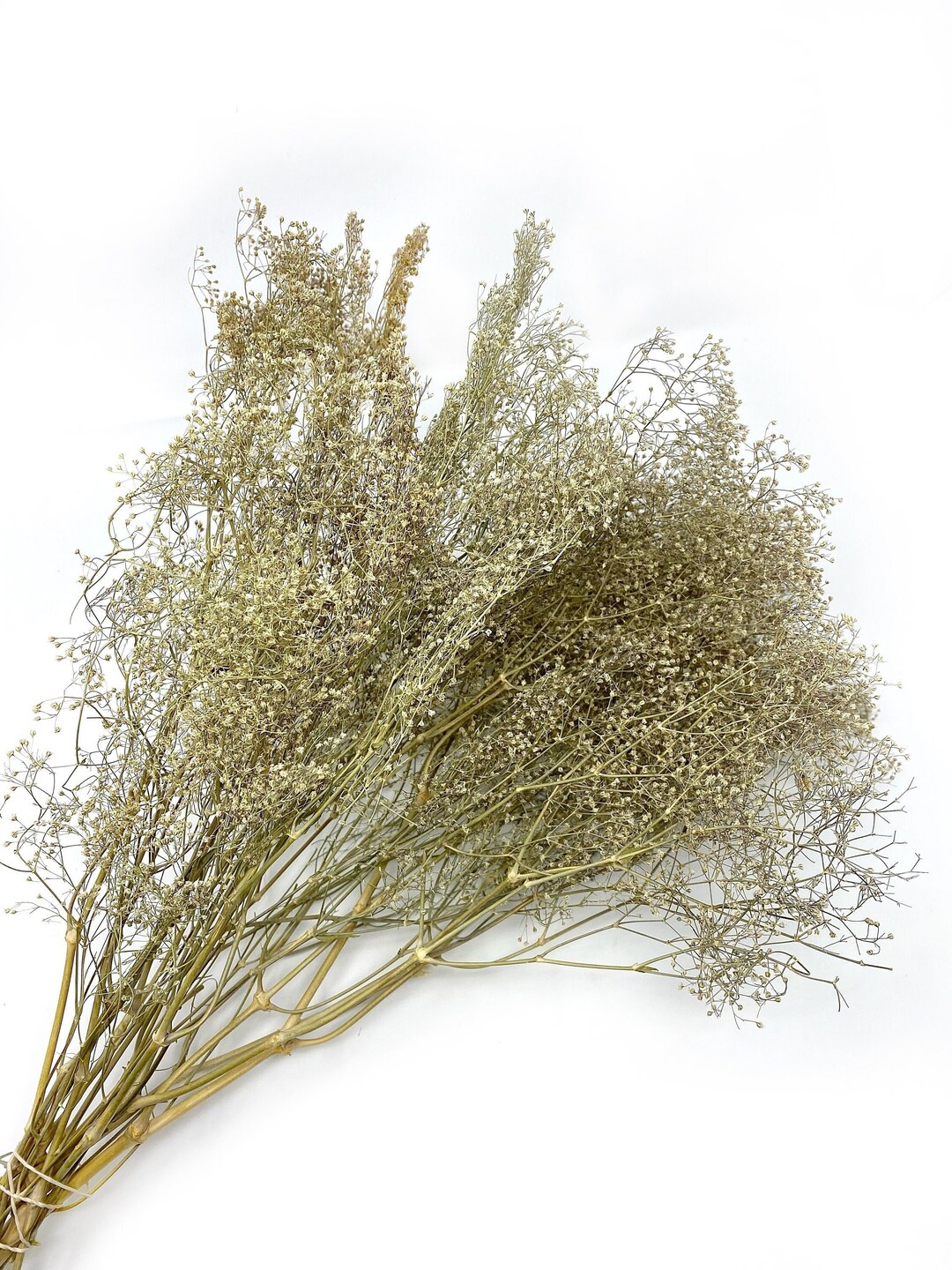 Dried Babies Breath Bunch, White Green Filler Flowers, Farmhouse Decor ...