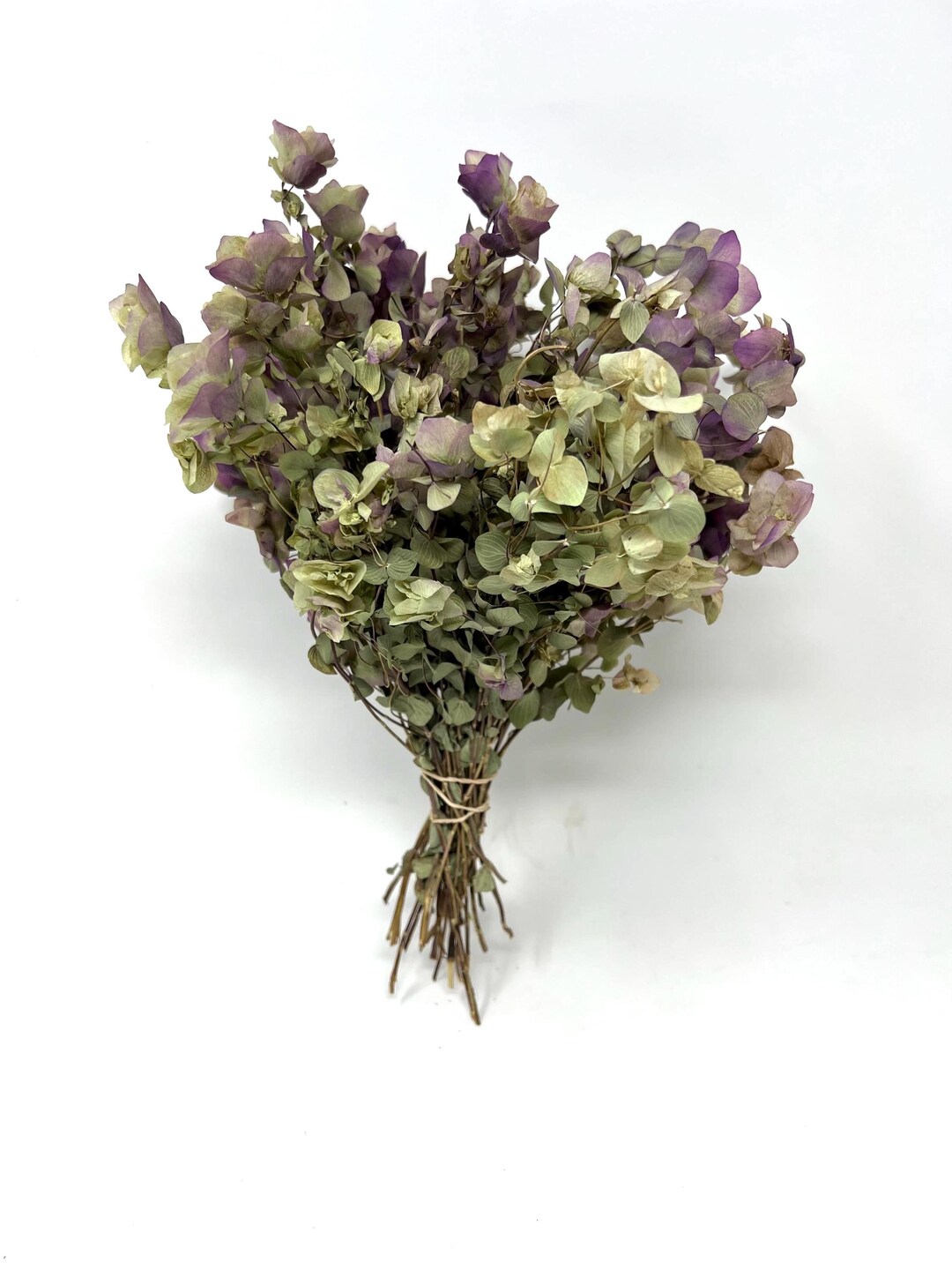 Dried Kent Beauty Oregano Bunch, Purple, Pink, Green, Floral ...