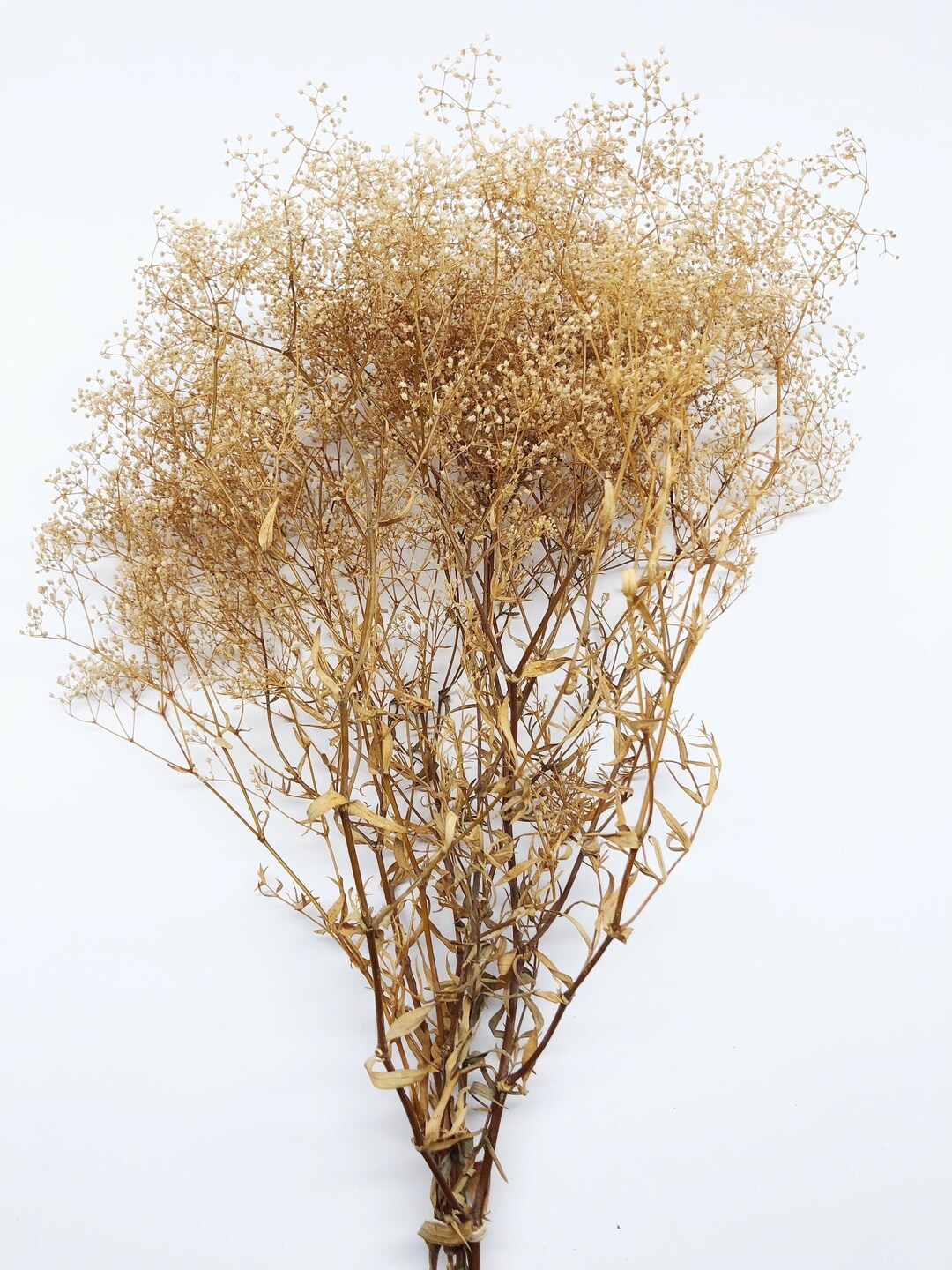 Mini Gyp, Filler Flowers, Preserved Flowers, Flowers, Red, Tan, Orange ...