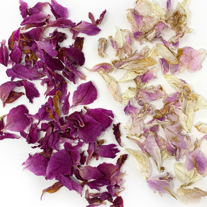 Dried Flower Petals - Etsy
