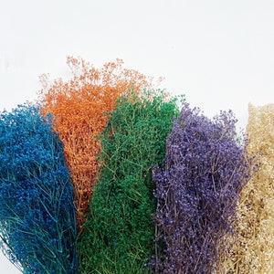 Mini Gyp, Filler Flowers, Preserved Flowers, Flowers, Red, Tan, Orange ...