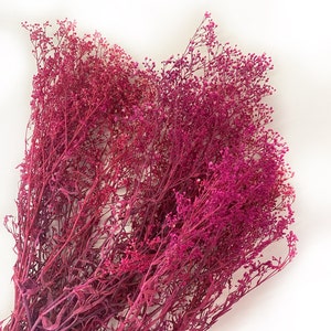 Mini Gyp Filler Flowers Preserved Flowers Flowers Red - Etsy