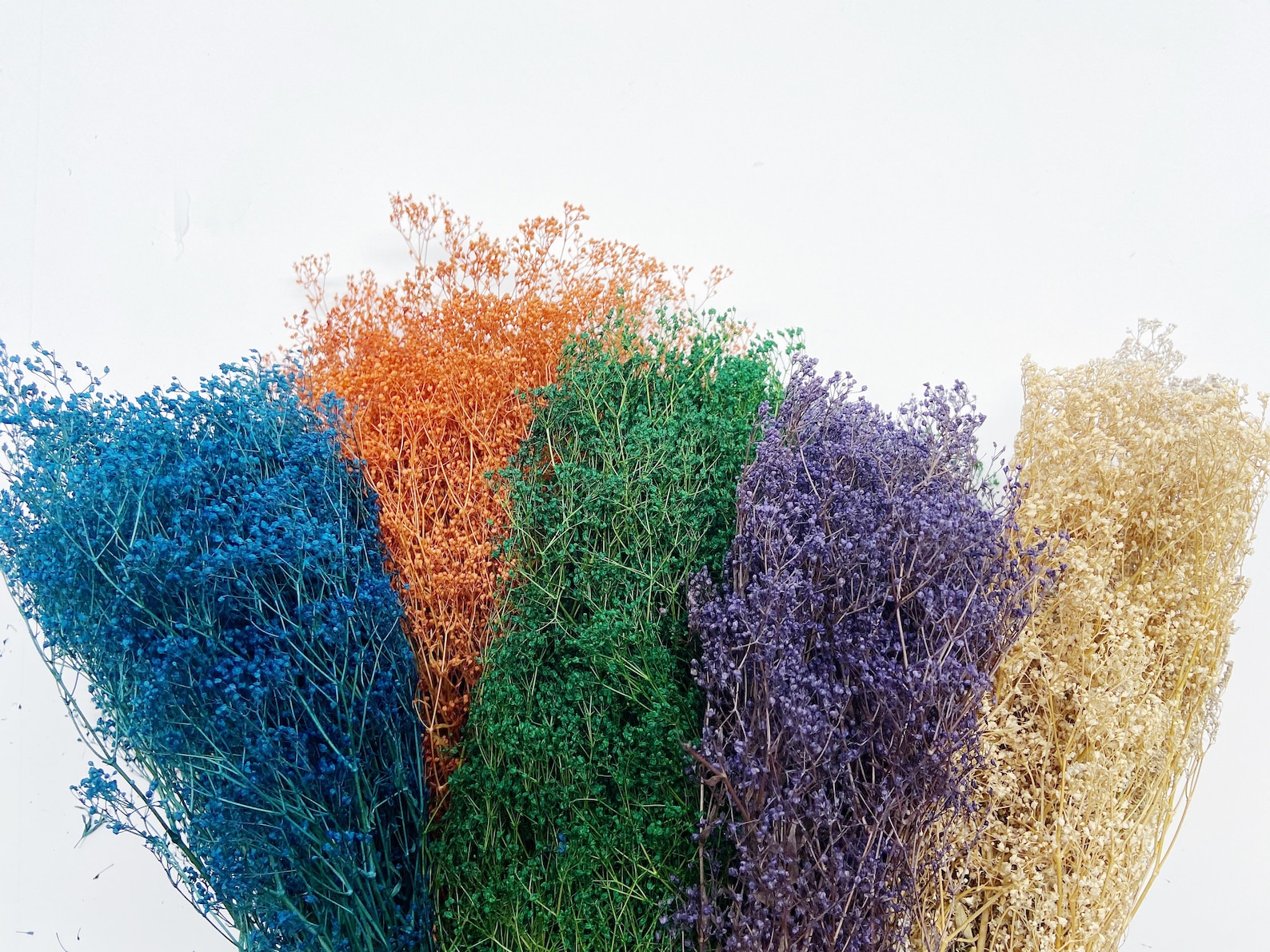 Mini Gyp Filler Flowers Preserved Flowers Flowers Red - Etsy