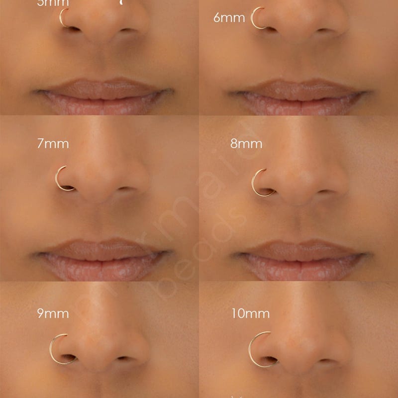 Nose Ring Hoop Variety - Etsy
