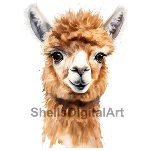 Alpaca PNG Clip Art With Transparent Background, Black Alpaca Clipart ...