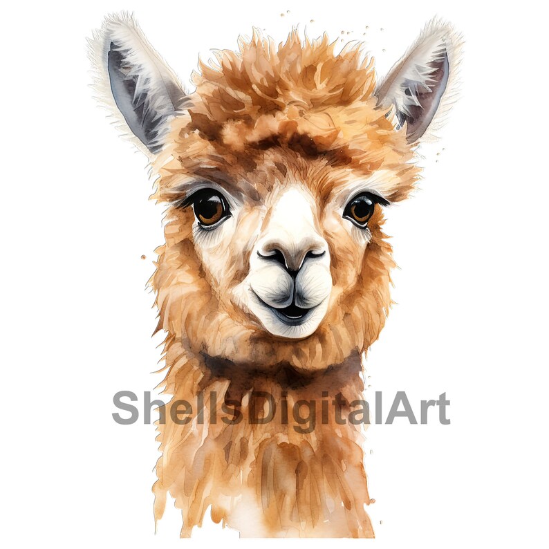 Watercolor Alpaca PNG Clipart Bundle (digital Download) - Etsy