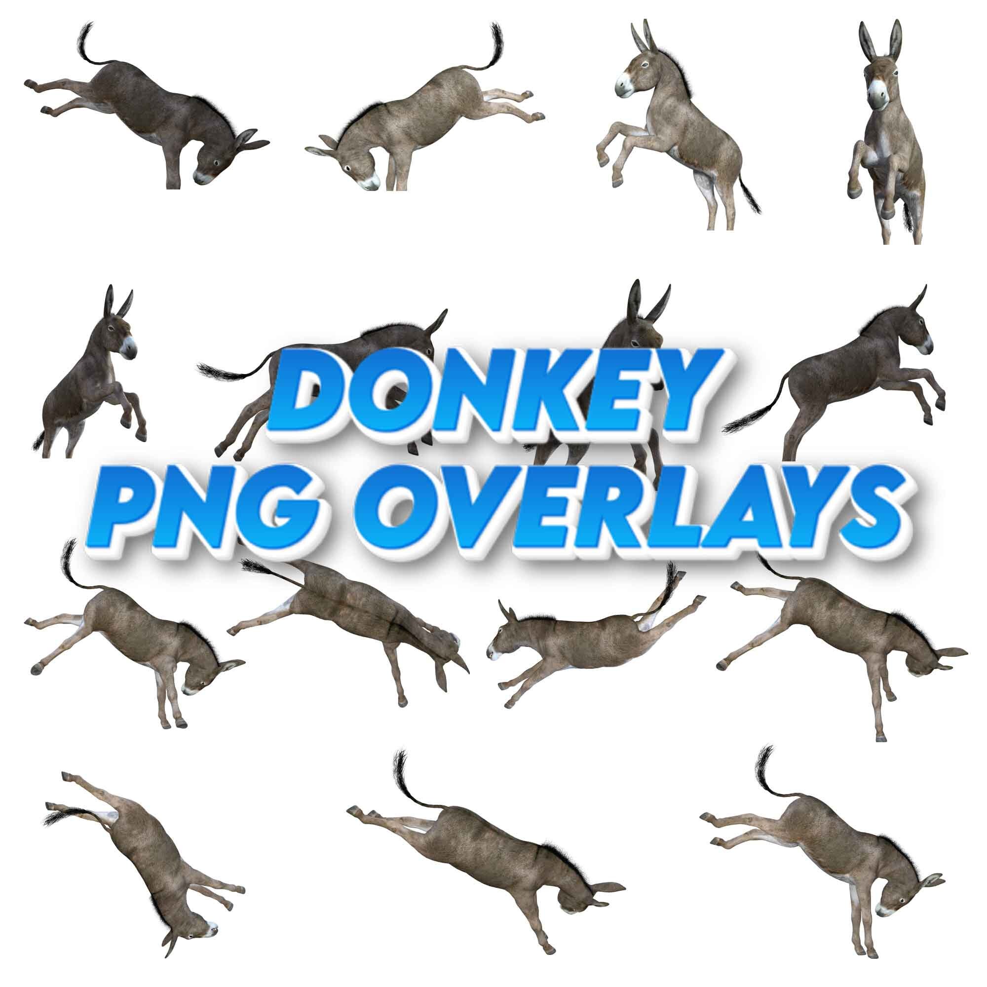 15 Donkey Png Clip Art Kicking Donkey PNG Overlays Farm - Etsy Canada