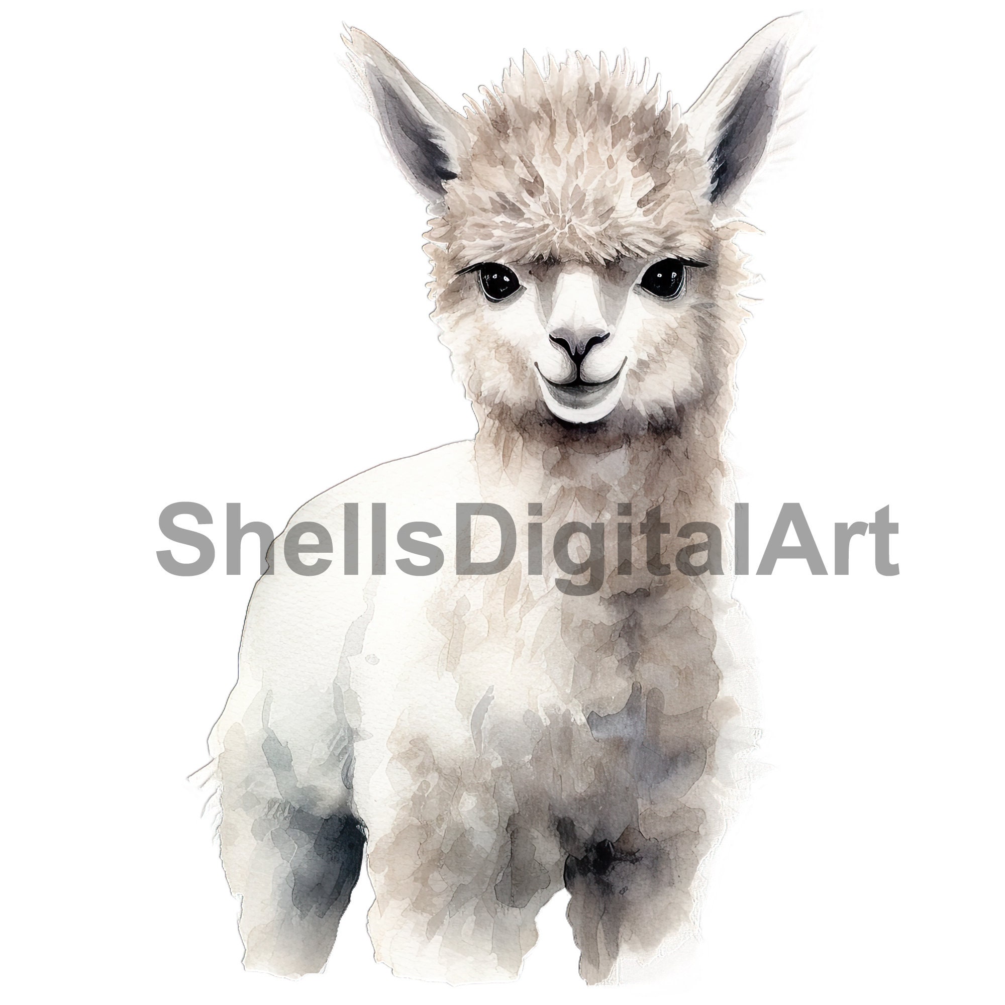 Watercolor Alpaca PNG Clipart Bundle (digital Download) - Etsy