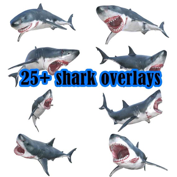 Shark Photoshop