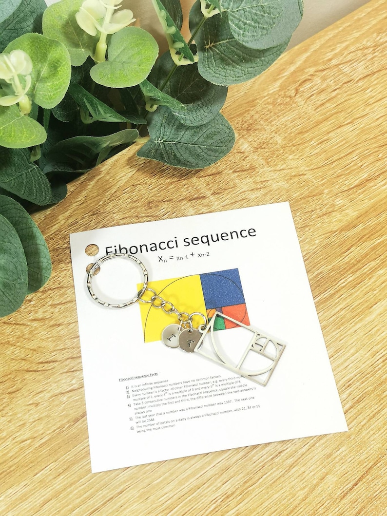 Fibonacci keychain Fibonacci Science gift Science student | Etsy