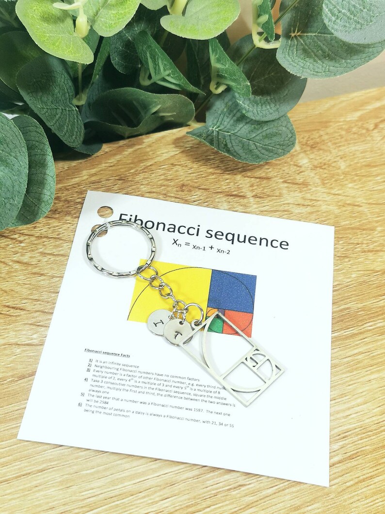 Fibonacci keychain Fibonacci Science gift Science student | Etsy