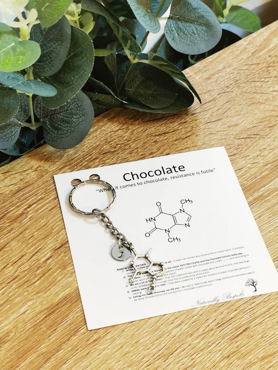 Chocolate Keychain Chocolate Gift Chocoholic Key Ring - Etsy