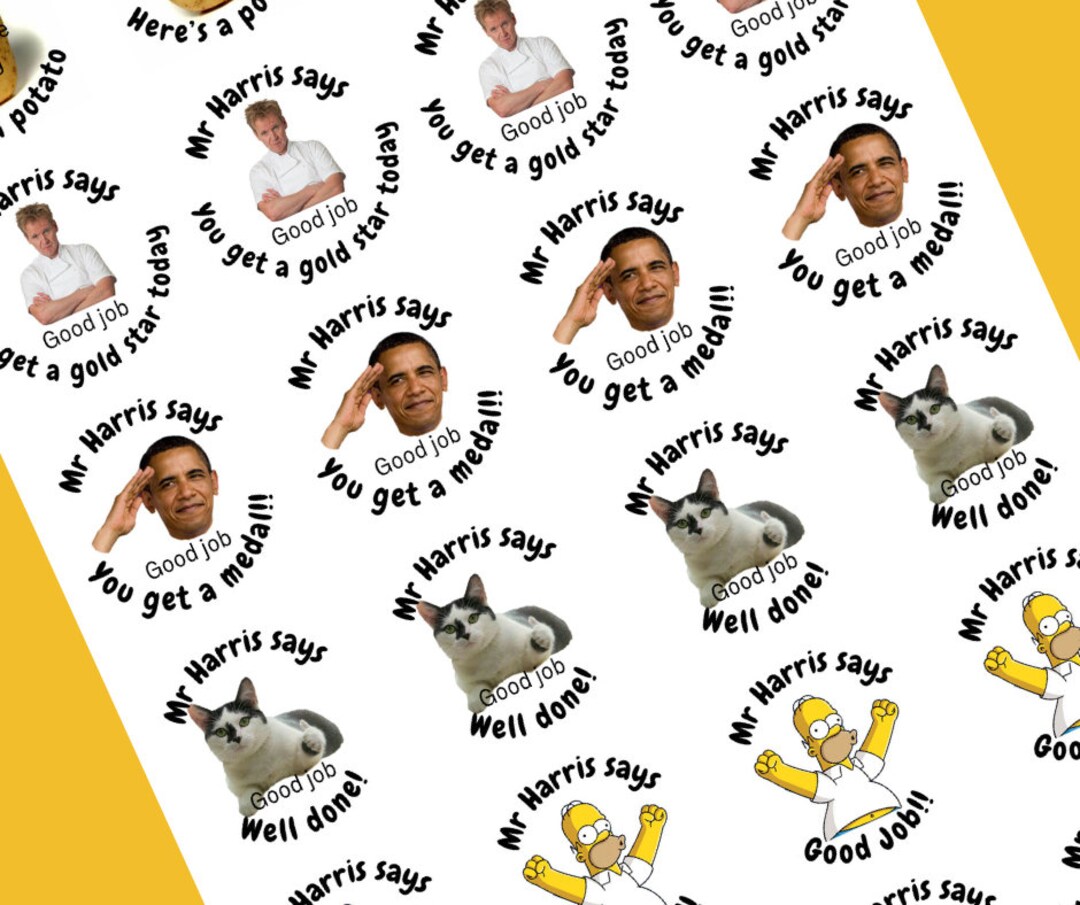 Sarcastic Well Done Stickers, Personalised Teacher Stickers, Sarcastic ...