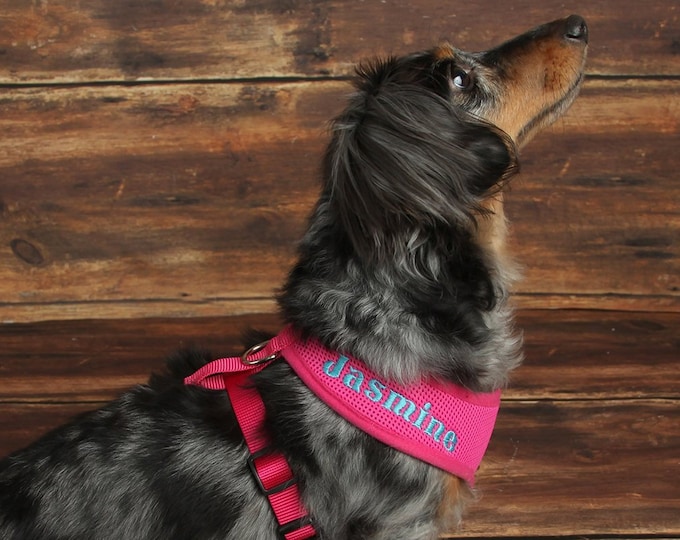 Personalized Dog Harness Custom Dog Harness Dog Name Harness Custom ...