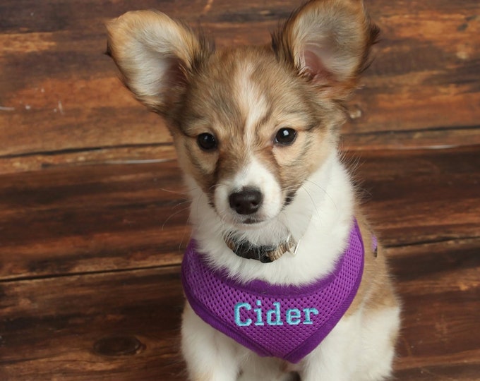 Personalized Dog Harness Custom Dog Harness Dog Name Harness Custom ...