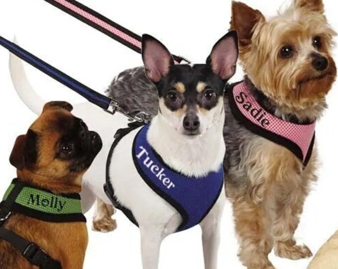 Personalized Soft Mesh Dog Harness Custom Embroidered With Name on ...