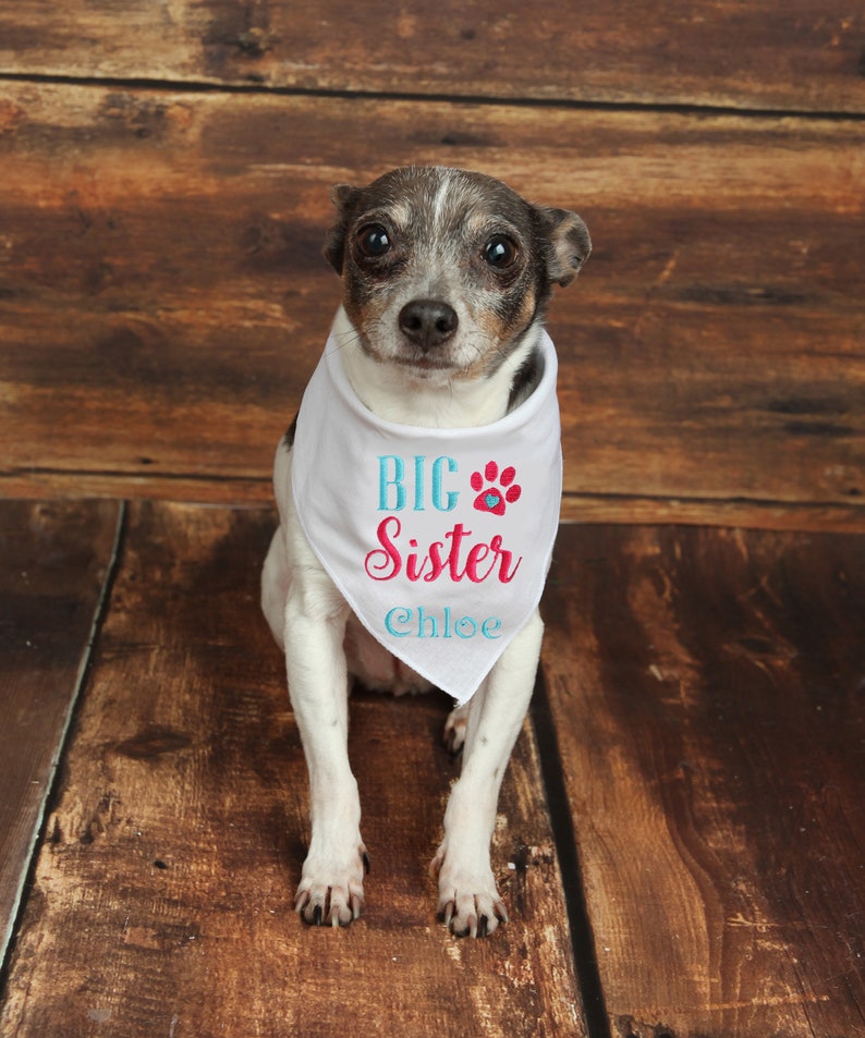 Big Sister Dog Little Brother Baby Baby and Dog Matching - Etsy