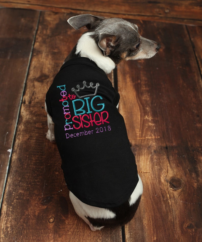 Dog Pregnancy Announcement Promoted to Big Sister Dog Shirt - Etsy Dog Pregnancy Announcement Promoted to Big Sister Dog Shirt - Etsy