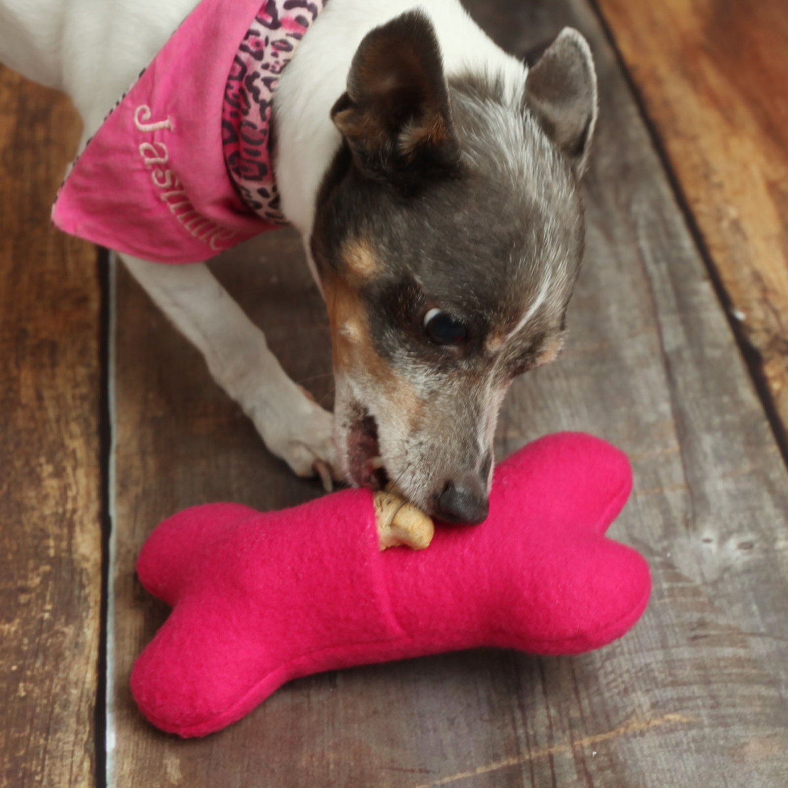 Treat Pocket Personalized Embroidered Stuffed Dog Bone Toy | Etsy