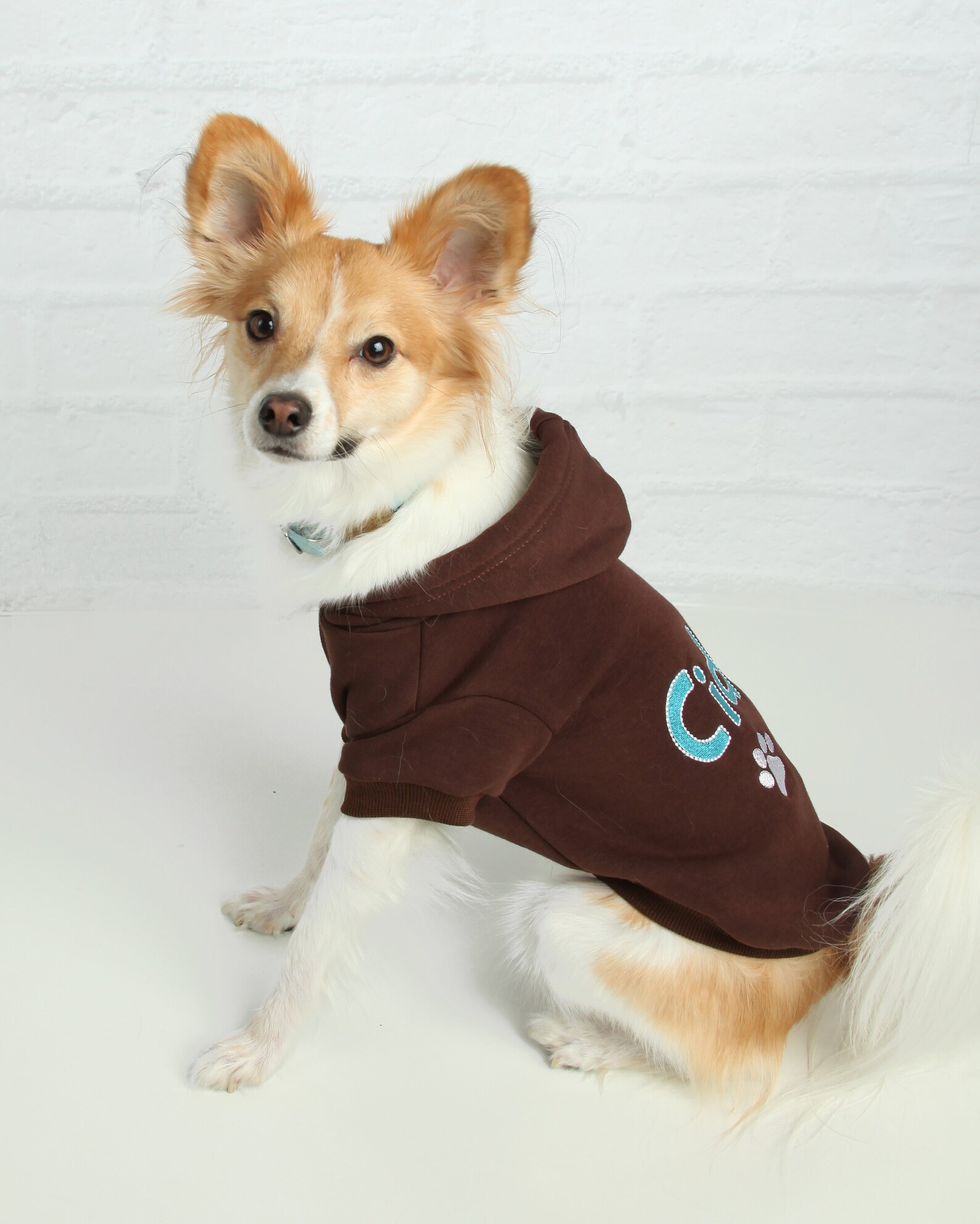 Personalized Dog Hoodie Name Pet Hoodie Personalized Dog - Etsy