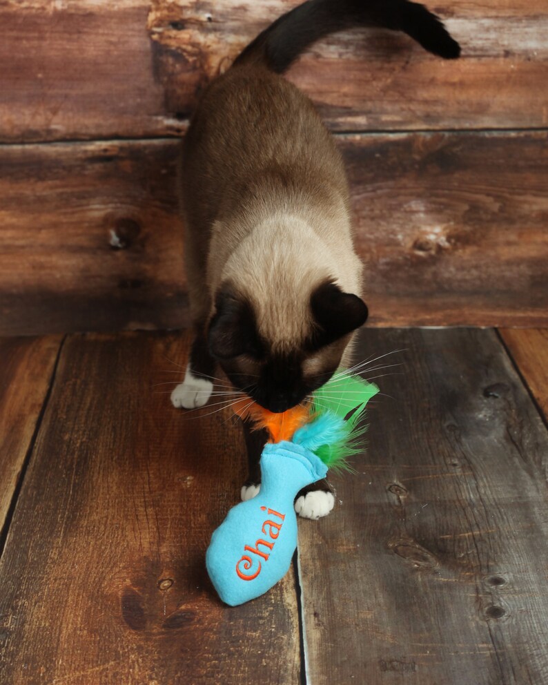 Personalized Stuffed Catnip Fish Cat Toy With Feathers - Etsy
