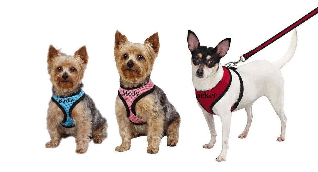 Personalized Dog Harness Custom Dog Harness Dog Name Harness Custom ...