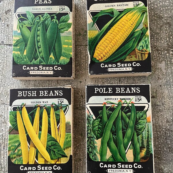 Vintage Seed Packet Box - Etsy