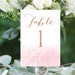 Rose Gold Table Numbers Blush Table Numbers Wedding Table | Etsy