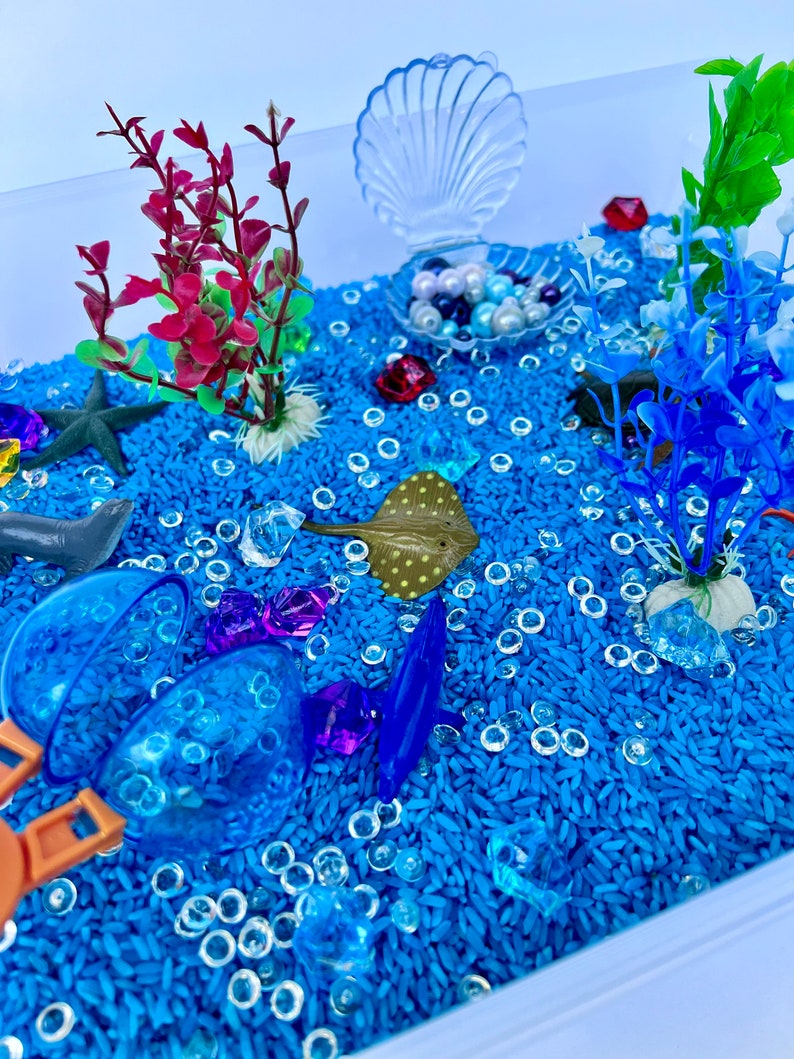 Ocean Sensory Kit, Sensory Play, Sea Life Sensory Box, Busy Box ...