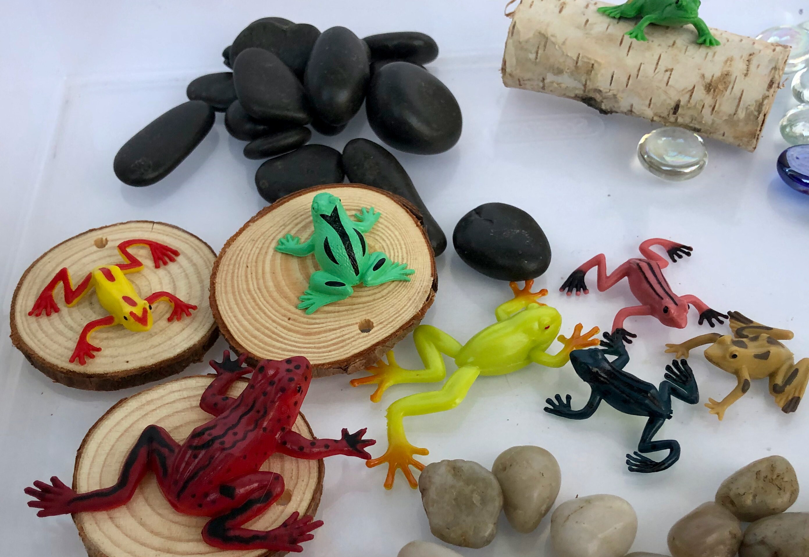 Frog Sensory Kit, Sensory Box, Sensory Bin, Sensory Play, Light up Your ...