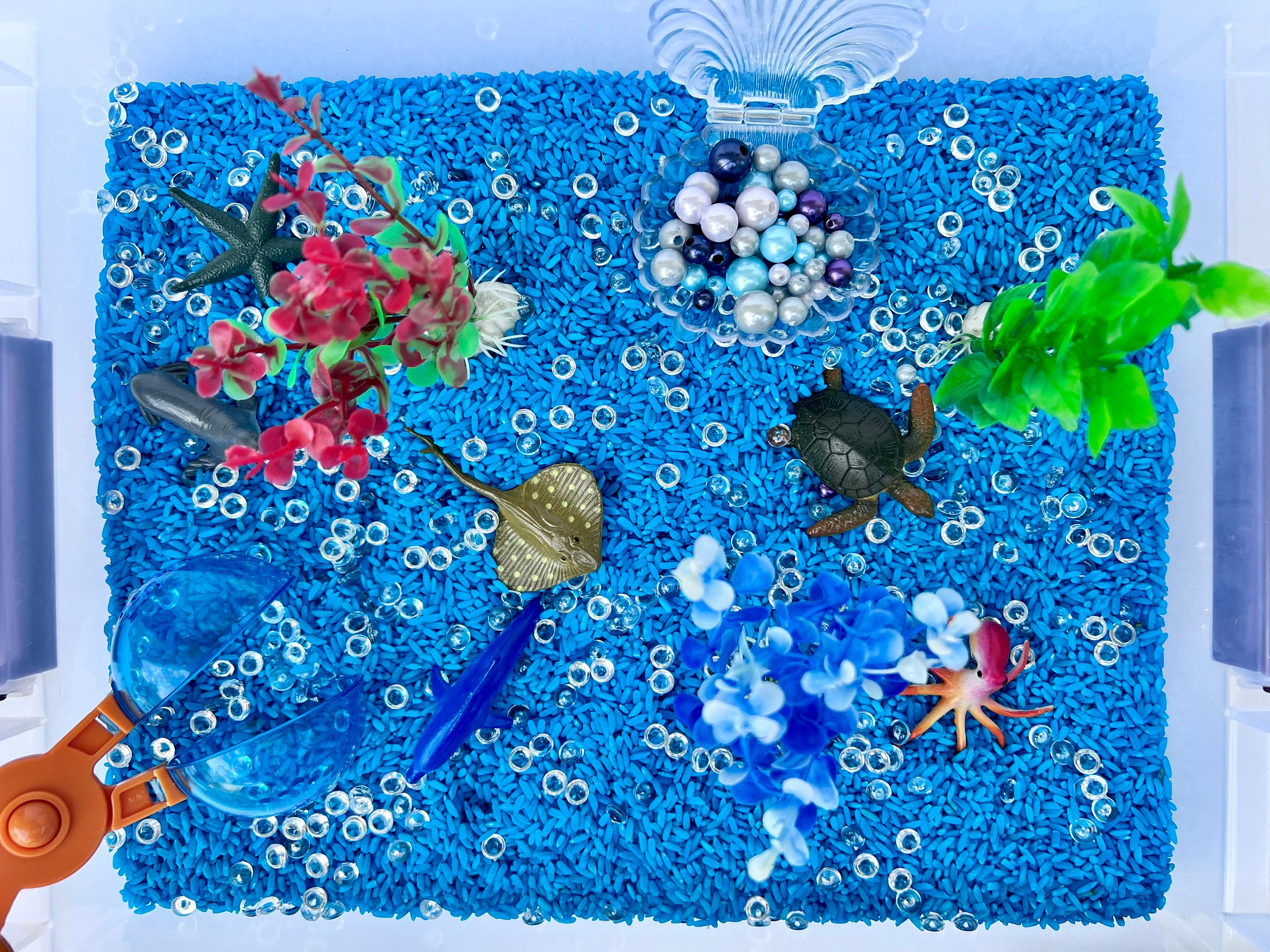 Ocean Sensory Kit, Sensory Play, Sea Life Sensory Box, Busy Box ...