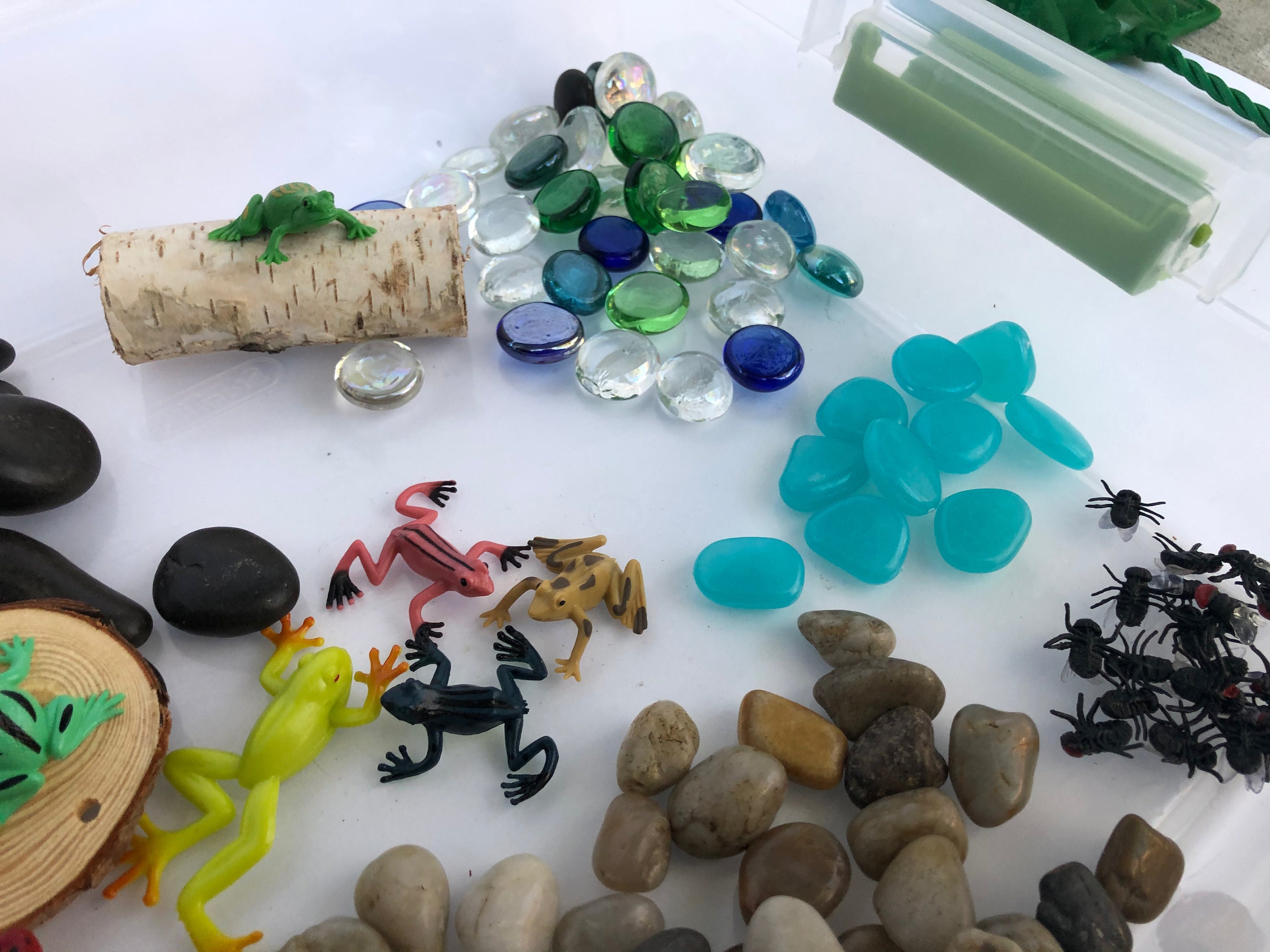 Frog Sensory Kit, Sensory Box, Sensory Bin, Sensory Play, Light up Your ...