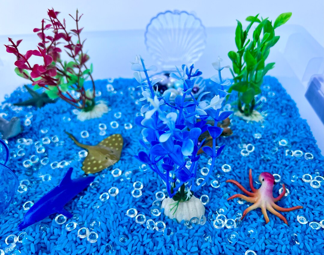 Ocean Sensory Kit, Sensory Play, Sea Life Sensory Box, Busy Box ...