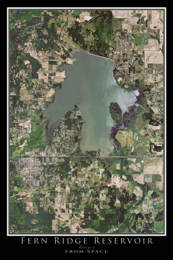 Are Dogs Allowed At Fern Ridge Reseroir