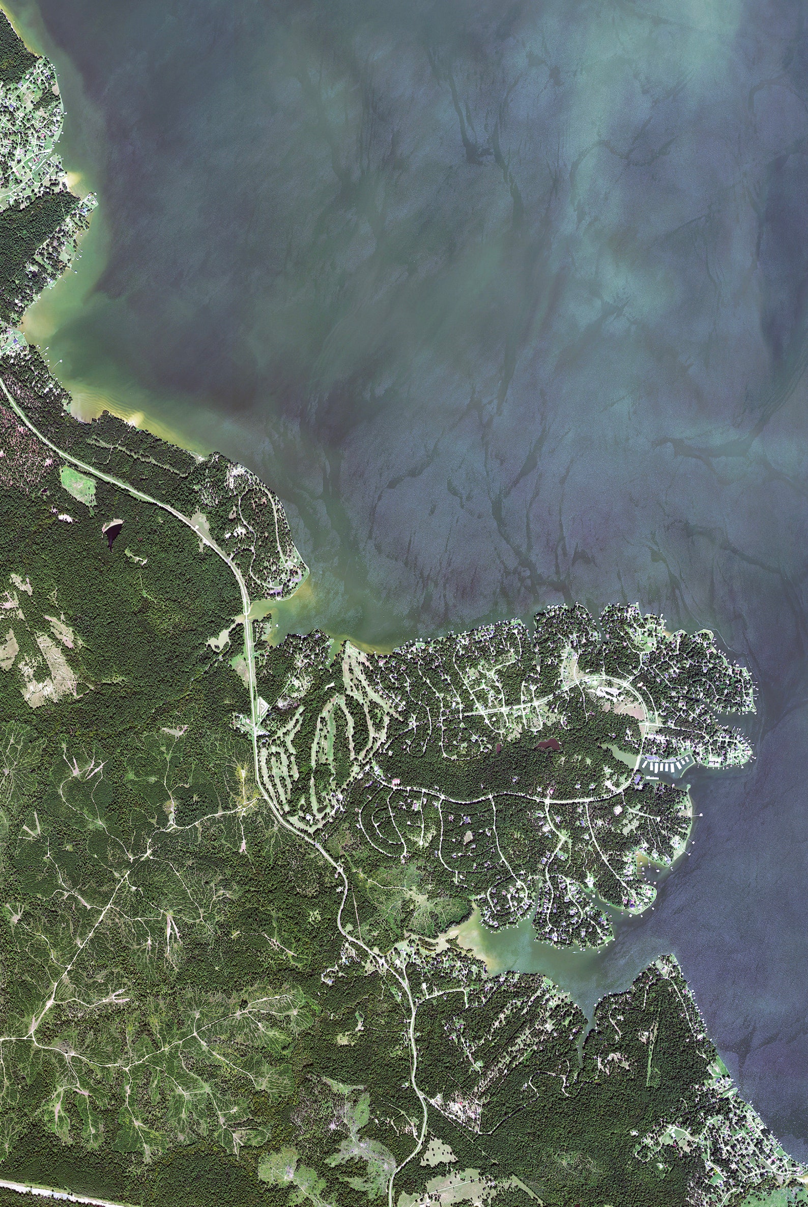 The Lake Livingston Texas Satellite Poster Map | Etsy