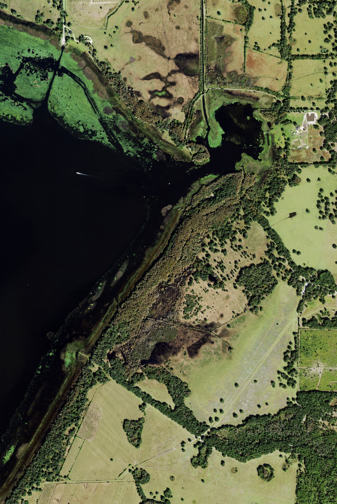 The Lake Tohopekaliga Florida Satellite Poster Map - Etsy UK