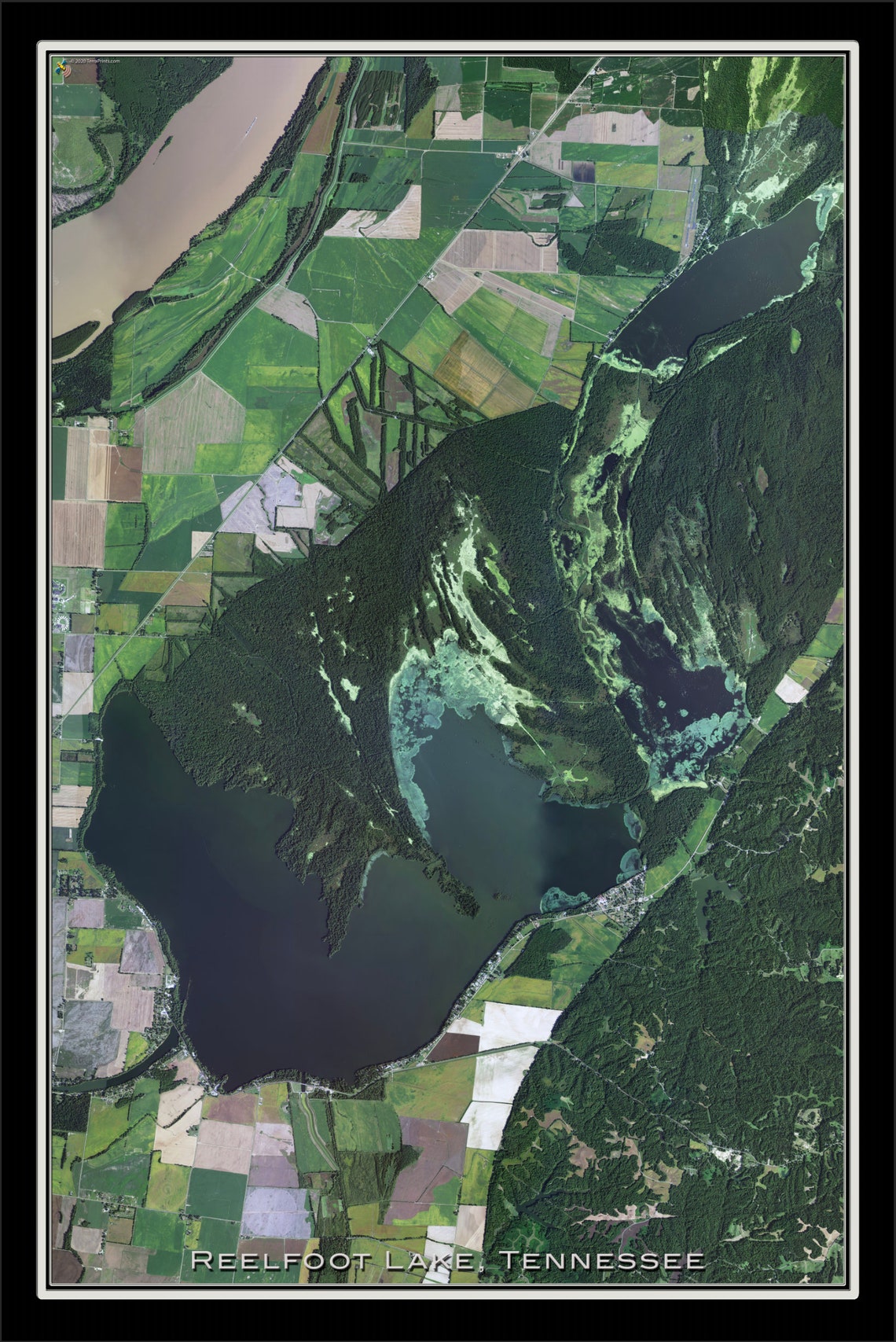 The Reelfoot Lake Tennessee Satellite Poster Map - Etsy Canada