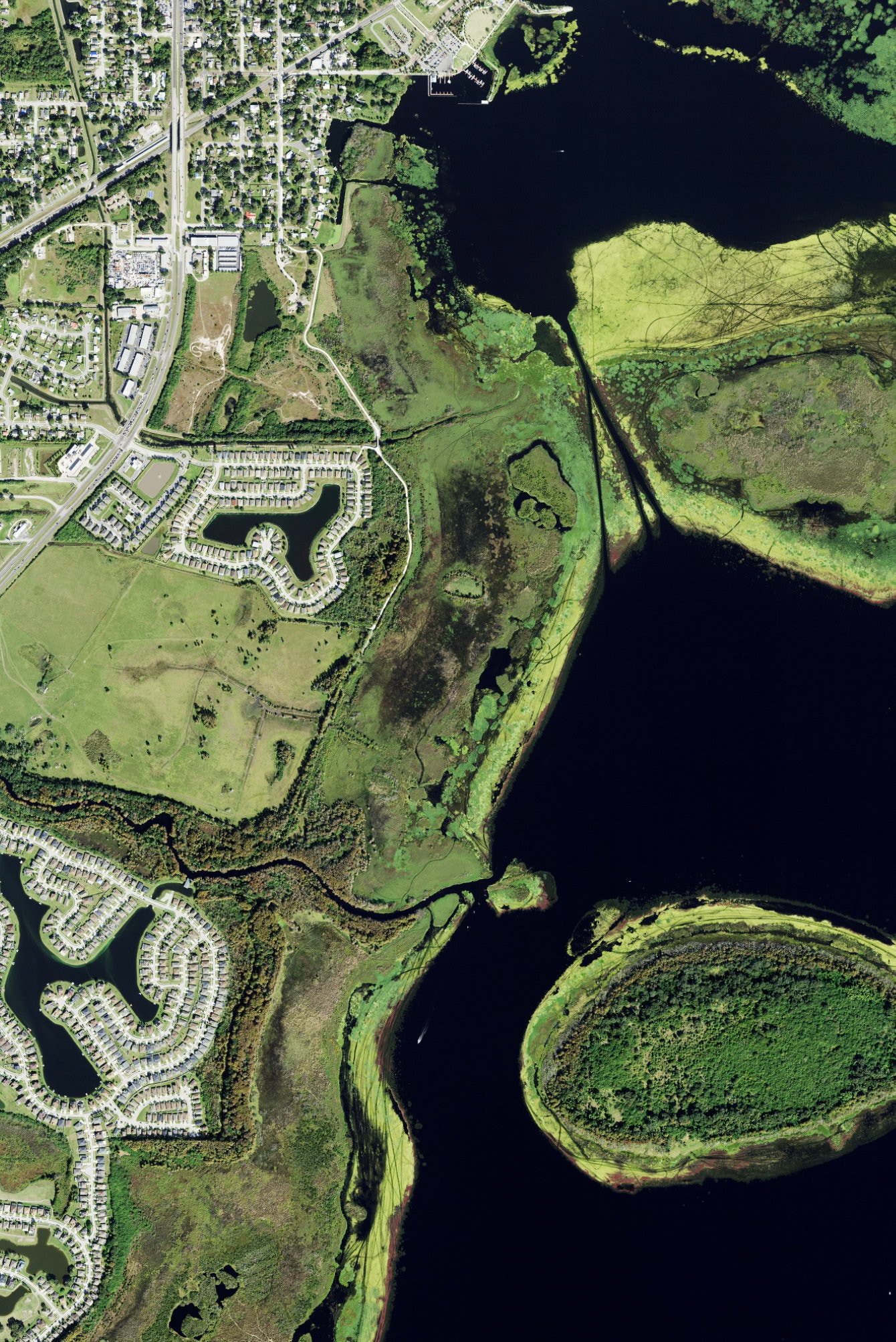 The Lake Tohopekaliga Florida Satellite Poster Map - Etsy UK