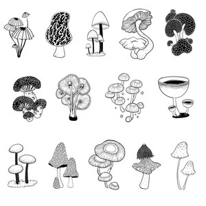 Mushroom Fungi Fungus Instant Download Digital Clip Art Digi Stamps ...