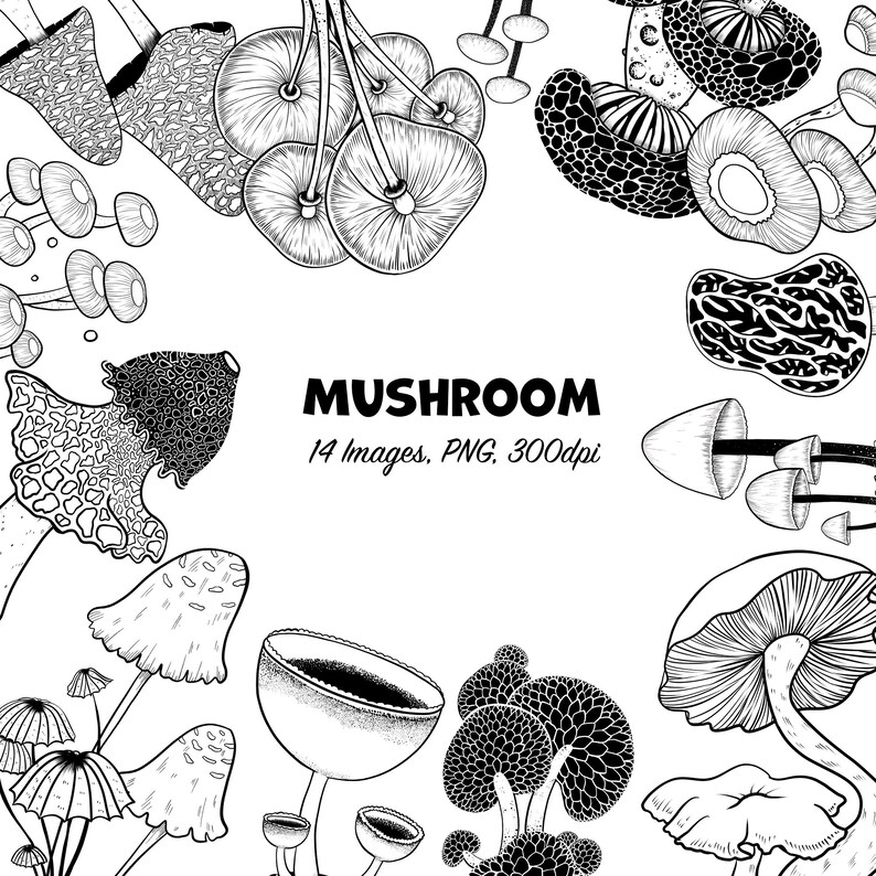 Mushroom Fungi Fungus Instant Download Digital Clip Art Digi Stamps - Etsy